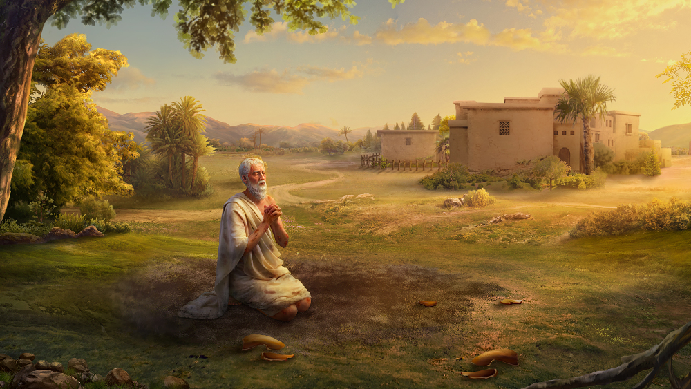 What Inspiration Can Job’s Trials Bring to Us?